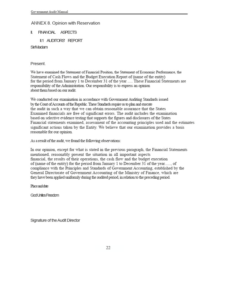 Example Opinion With Reservation | PDF