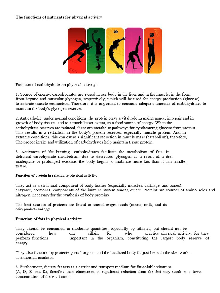 The Functions of Nutrients For Physical Activity | PDF | Metabolism | Fat