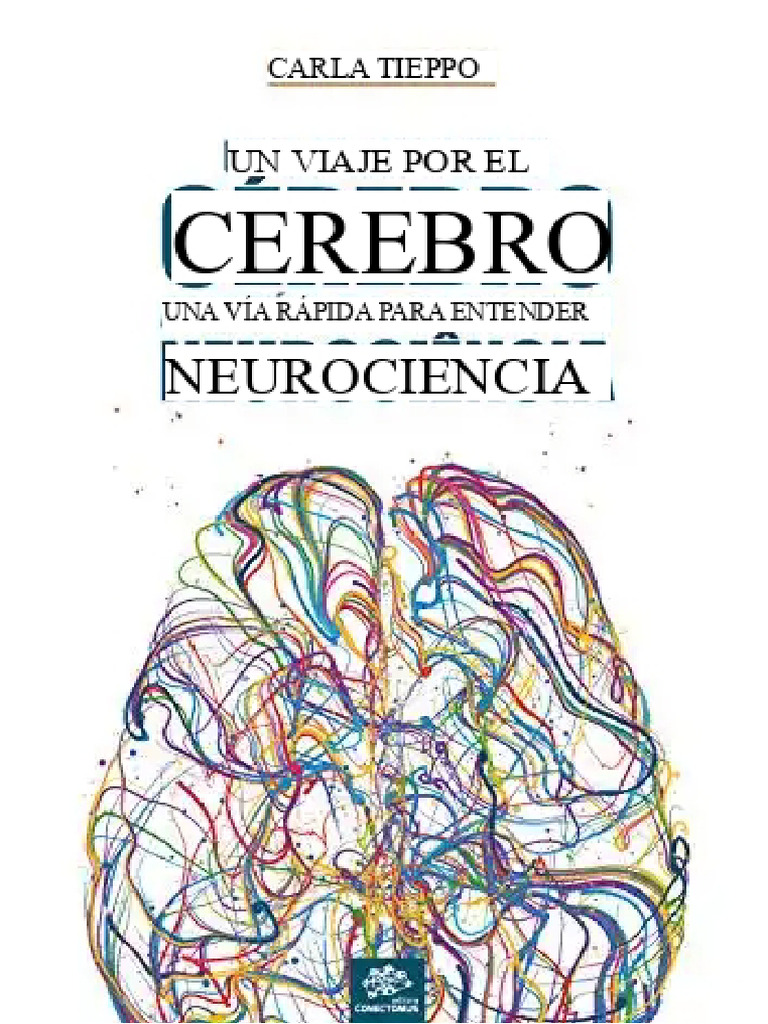 Un Viaje Por El Cerebro La Via Rapida Par | PDF