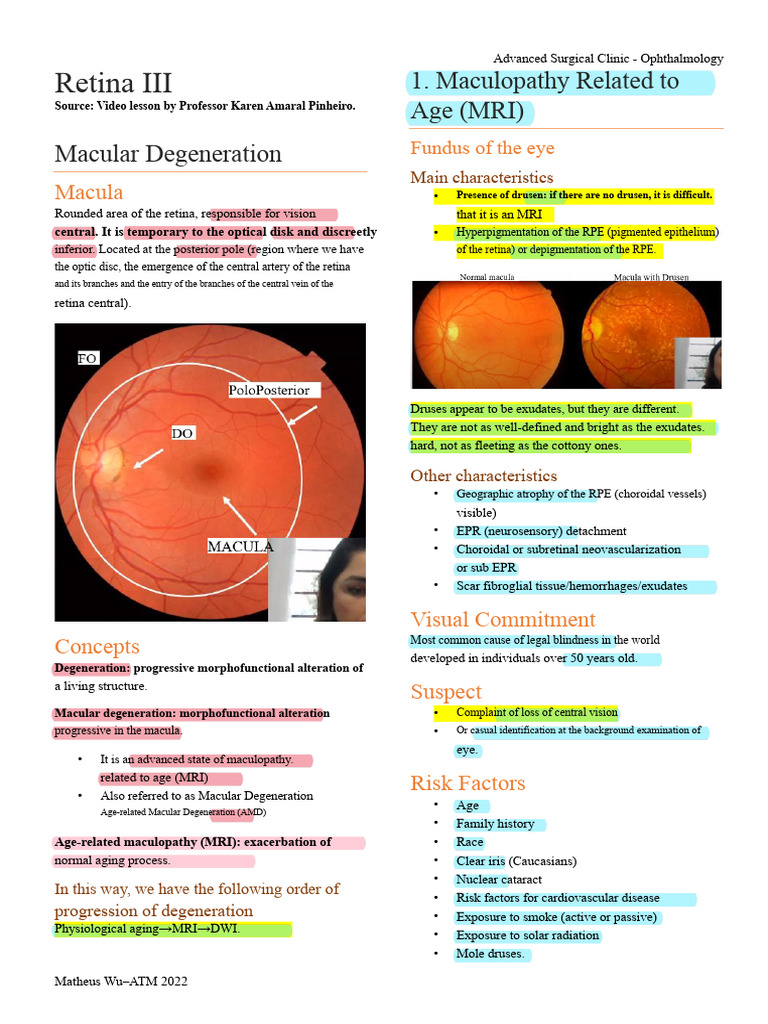 Understanding Age-Related Macular Degeneration | PDF | Vision | Medical ...