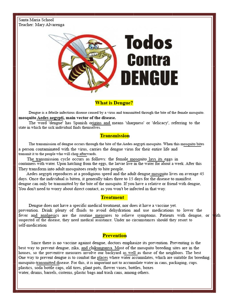 Understanding Dengue: Causes and Prevention | PDF | Mosquito | Public ...