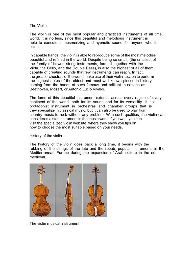 The Violin | PDF | Violin | String Instruments