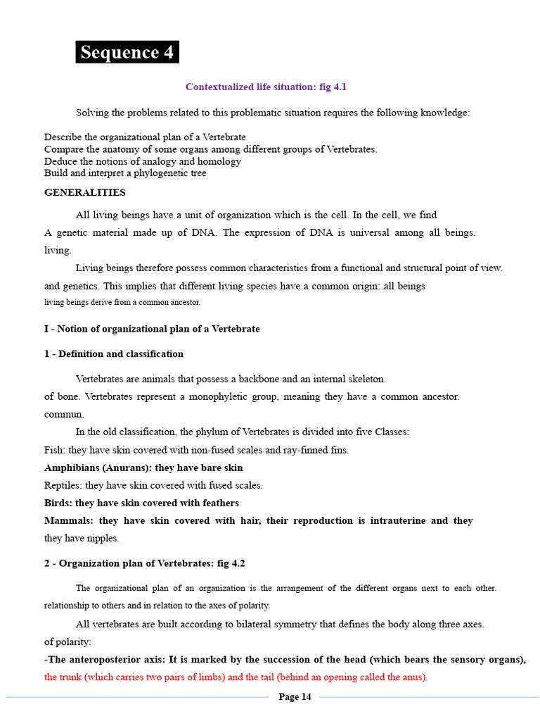 Vertebrate Organizational Plans Explained | PDF | Vertebrates | Anatomy