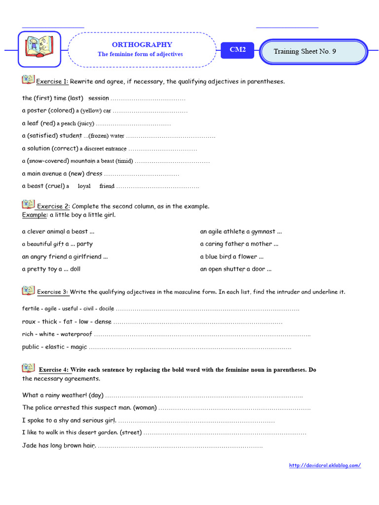 The Feminine Form of Adjectives | PDF | Grammatical Gender | Morphology