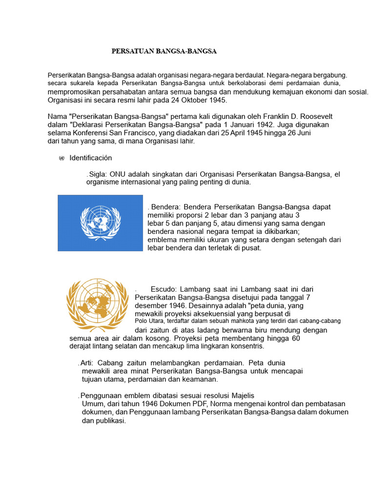 Sejarah dan Struktur PBB | PDF