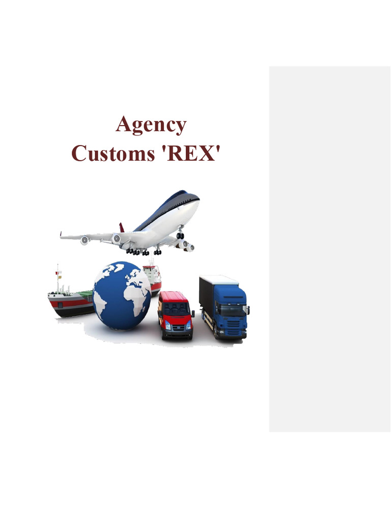 Business Plan Customs Agency Rex | PDF | Customs | Information And ...