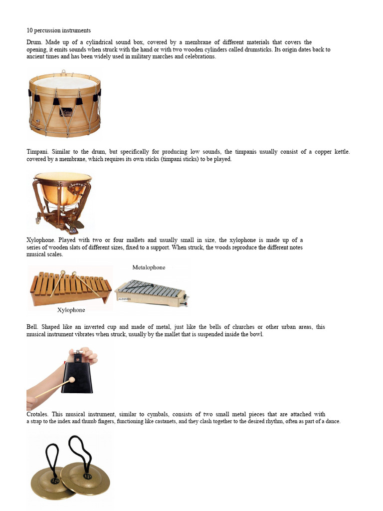 10 Percussion Instruments | PDF | String Instruments | Oboe