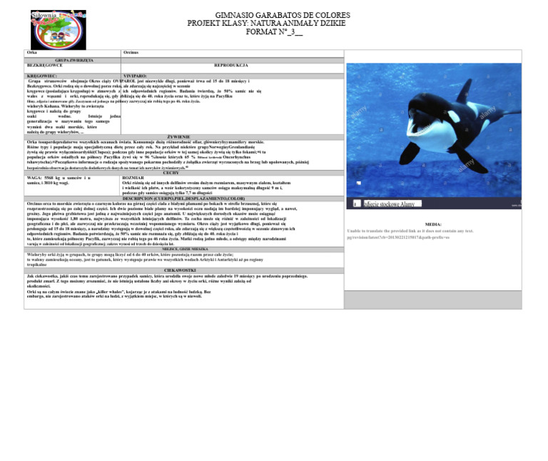 Oryginalna Karta Techniczna Orca | PDF