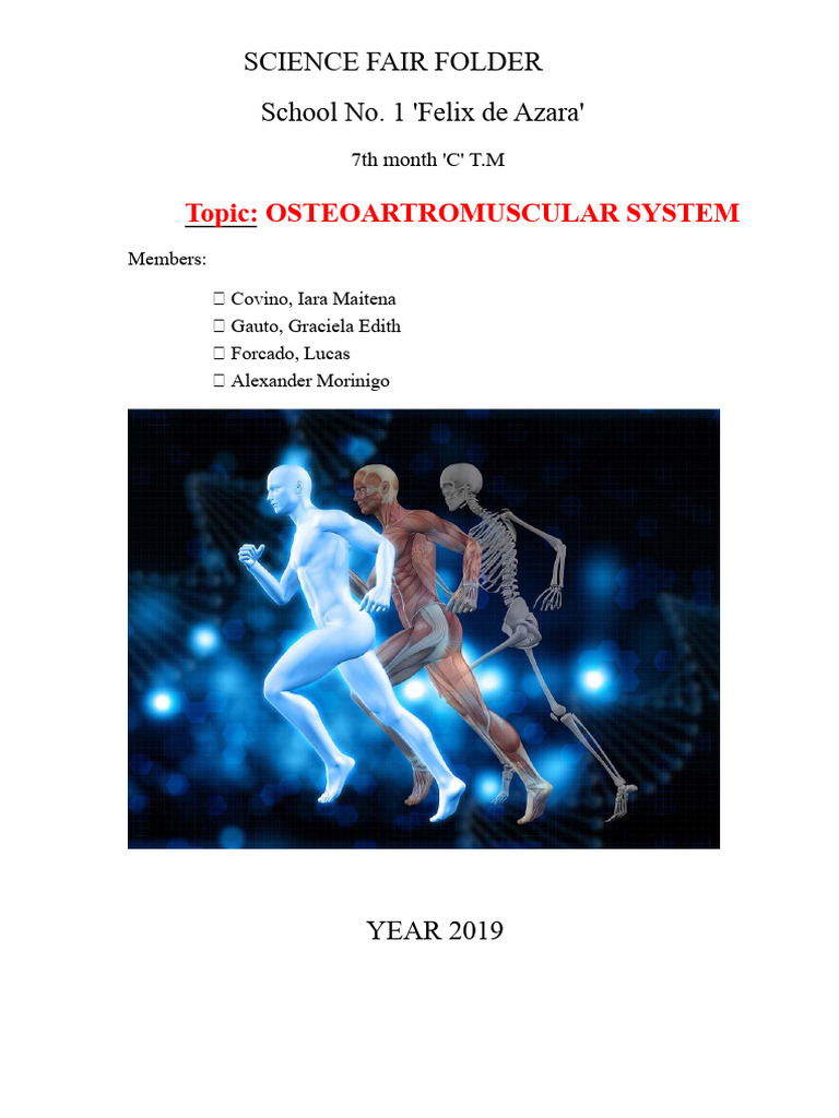 Understanding the Osteoarticular System | PDF | Skeleton | Bone