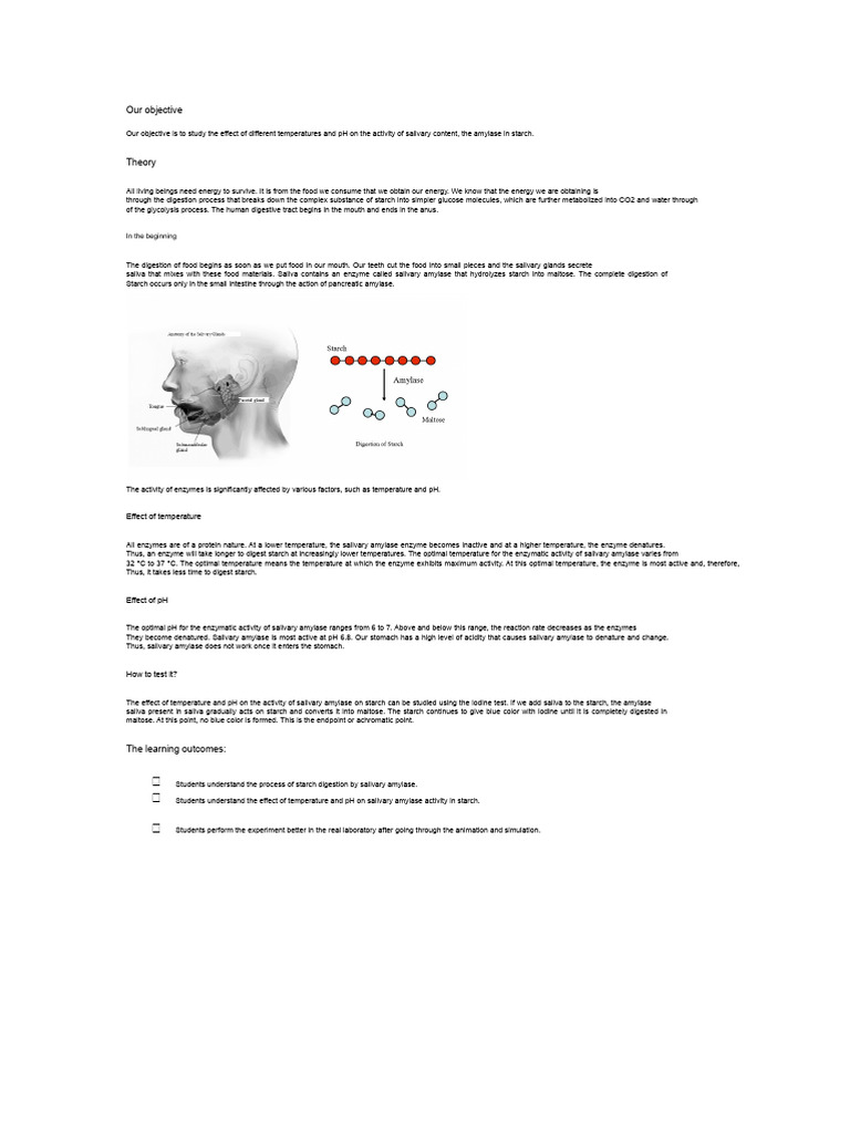 Theory of The Action of Salivary Amylase On Starch (Station #2) | PDF ...