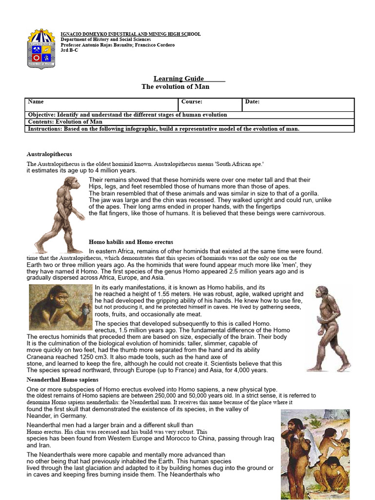 Infographic Evolution of Man | PDF | Homo | Human Evolution