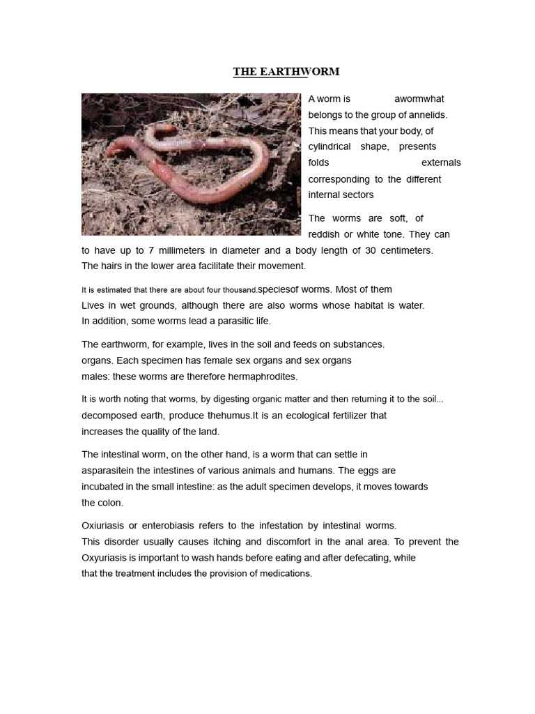 Understanding Earthworms and Their Ecology | PDF