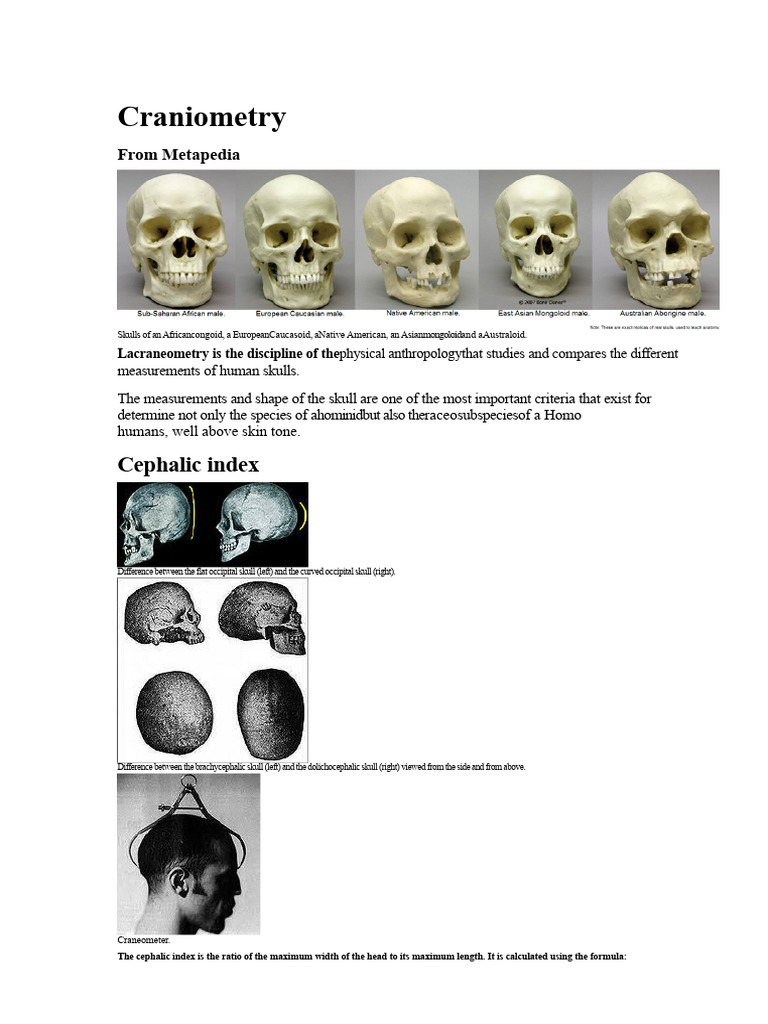Understanding Craniometry and Skull Types | PDF | Skull | Biological ...