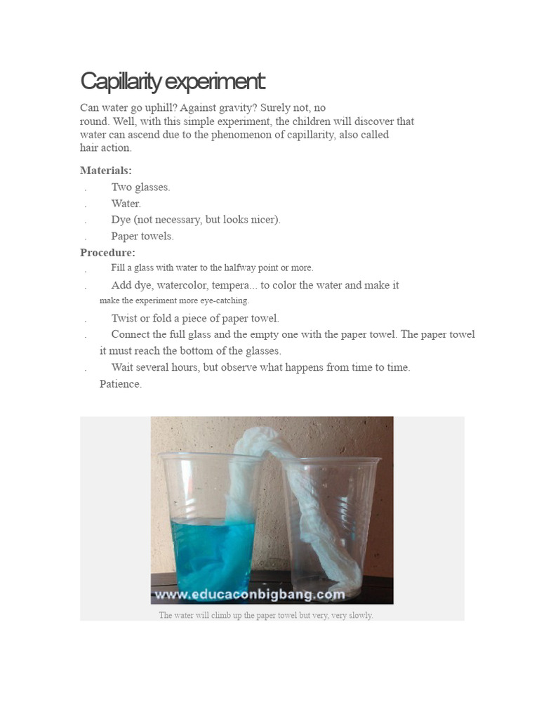 Capillary Experiment | PDF | Surface Tension | Liquids