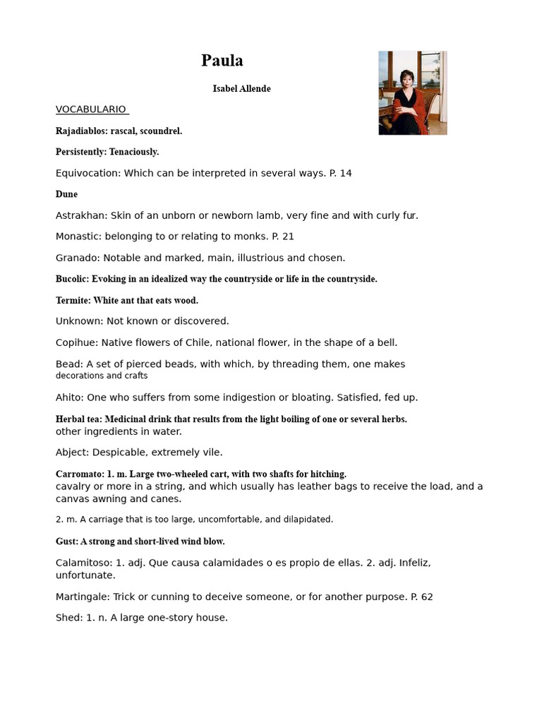 Isabel Allende's "Paula" Overview | PDF