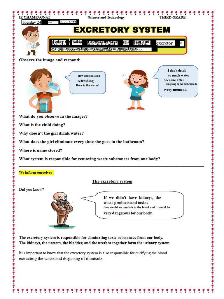 Sheet 120 Excretory System Science and Technology | PDF | Urine ...