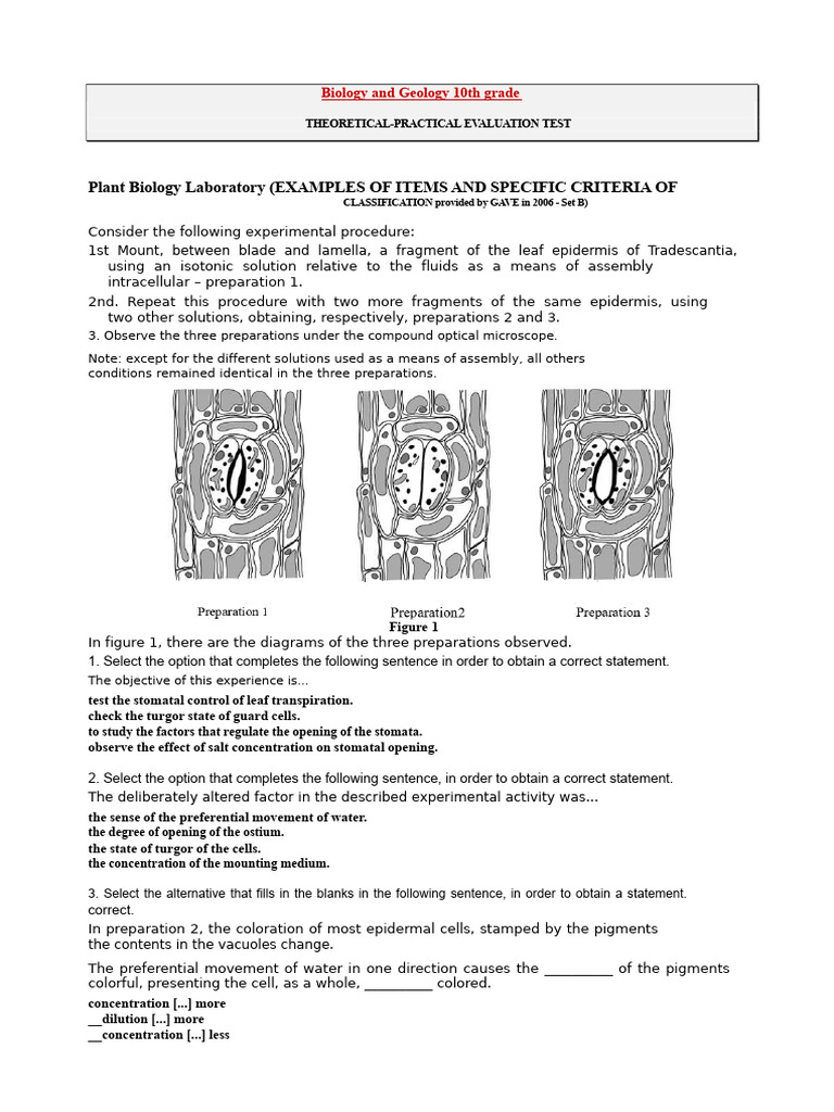 Test TP Transport in The Plants | PDF | Stoma | Biology