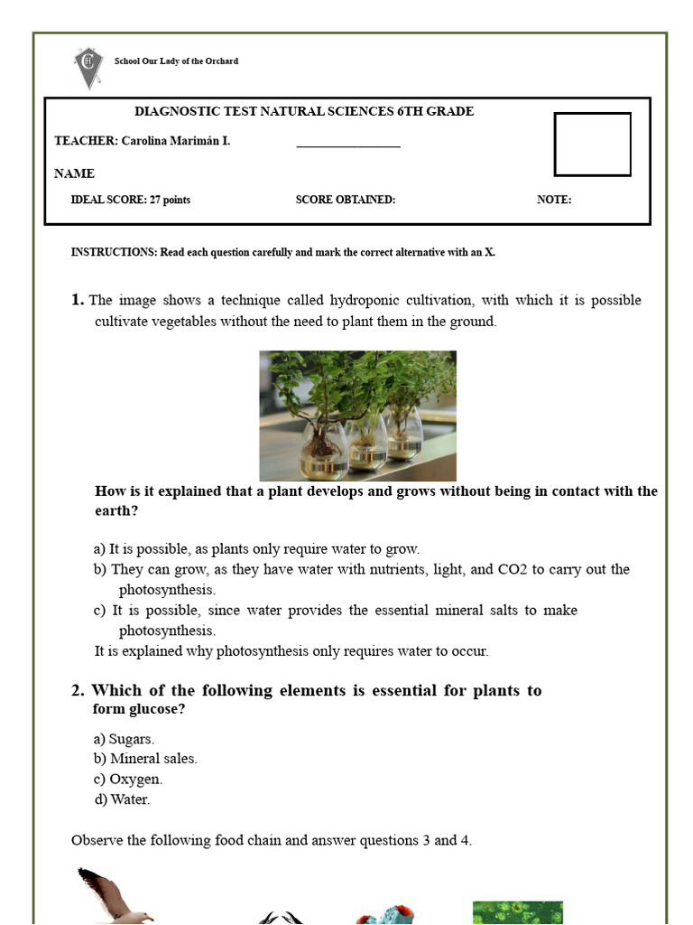6th Grade Natural Sciences Diagnostic Test | PDF | Foods | Heat