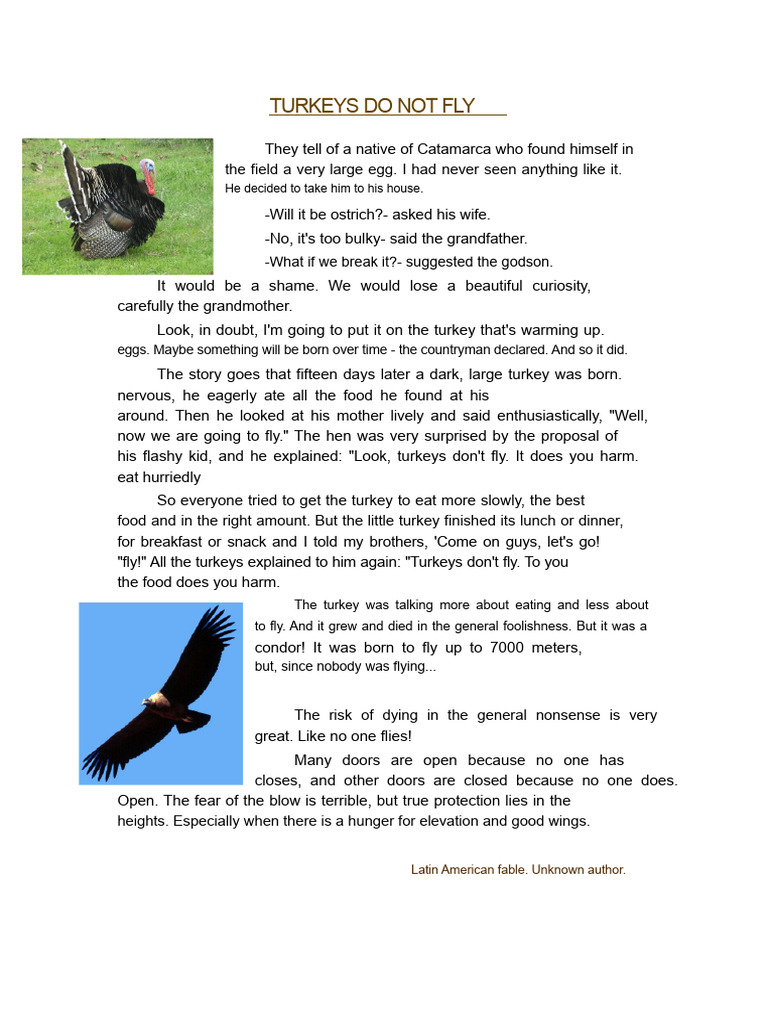 Turkeys Don't Fly | PDF