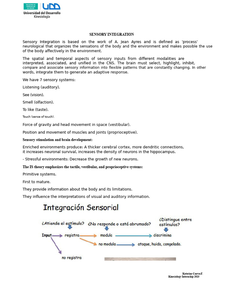 Sensory Integration | PDF | Senses | Somatosensory System