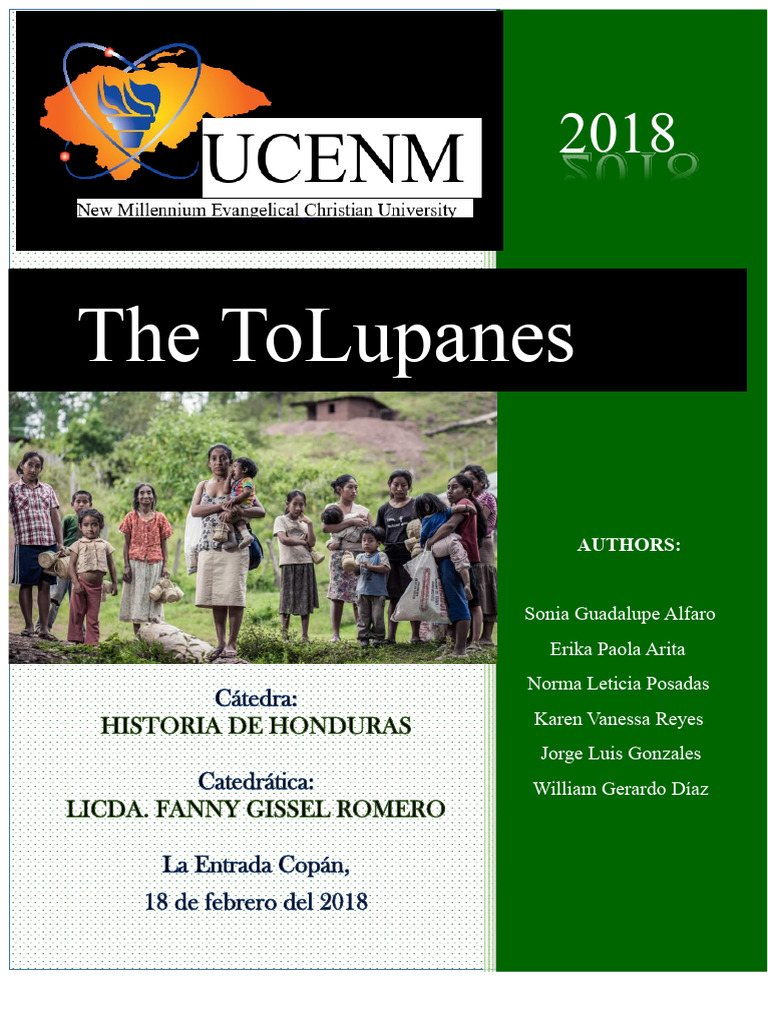 Report On The Tolupan | PDF | Honduras | Tuberculosis