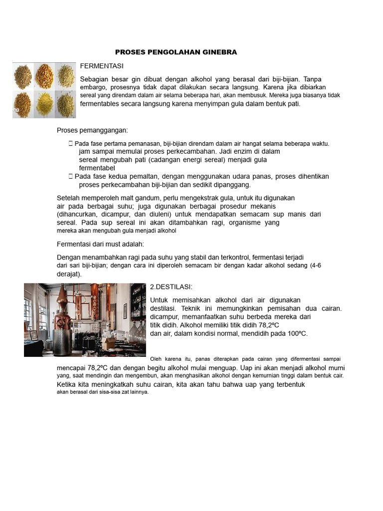 Proses Pembuatan Gin | PDF