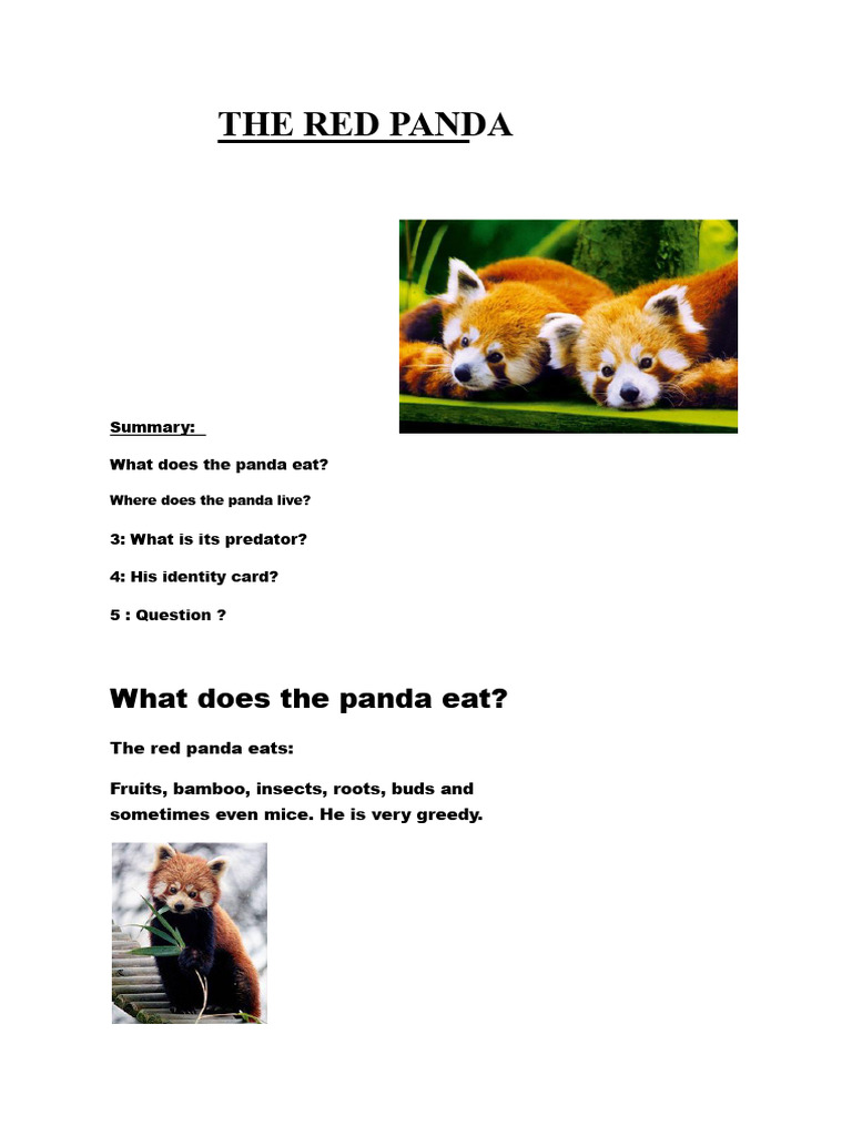 The Red Panda | PDF