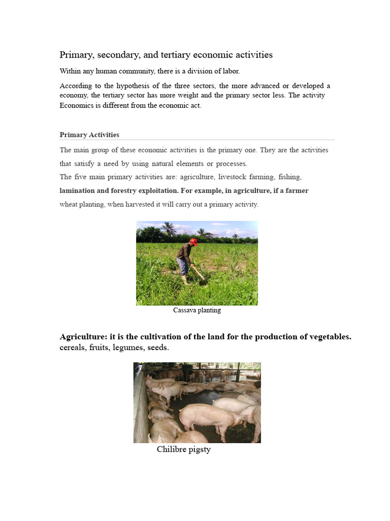 Overview of Primary Economic Activities | PDF | Agriculture | Livestock