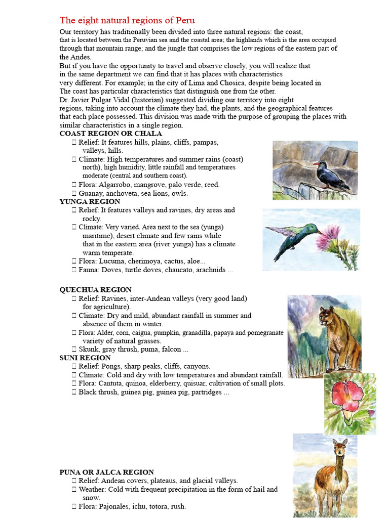 Eight Natural Regions of Peru | PDF | Peru | Physical Geography