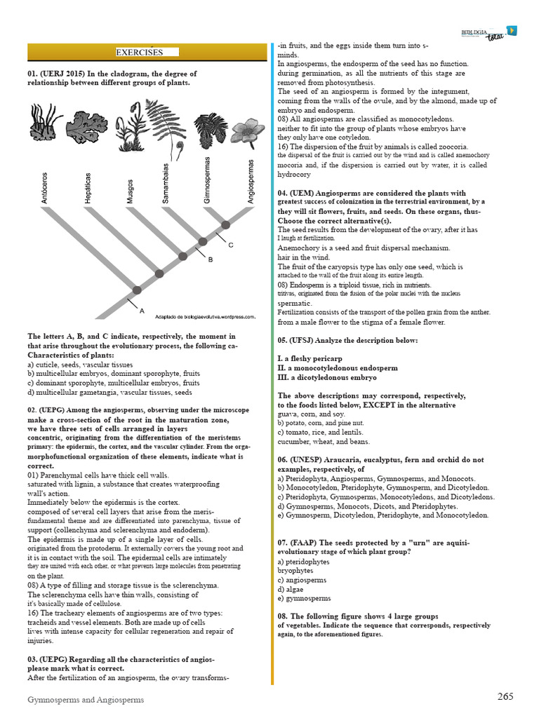 7 - Gymnosperms and Angiosperms - Exercise | PDF | Seed | Fertilisation