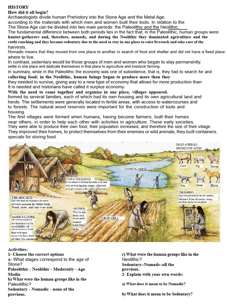 History I - Activity 3 | PDF | Neolithic | Hunter Gatherer