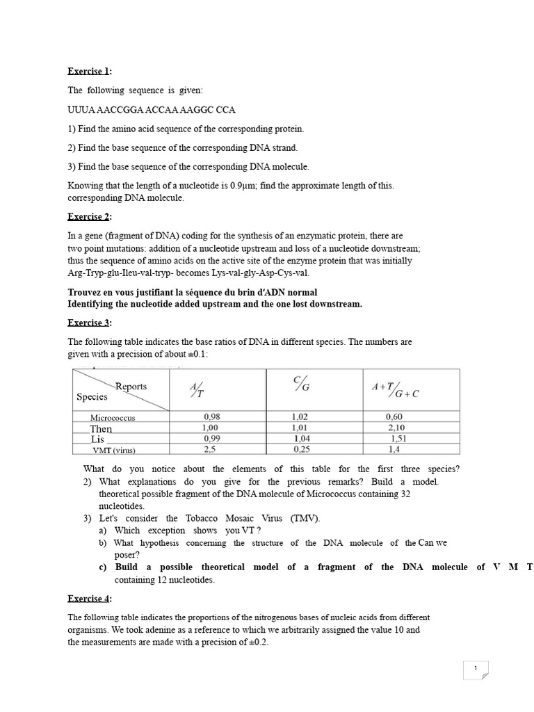 DNA and RNA Analysis Exercises | PDF | Nucleic Acid Sequence | Dna