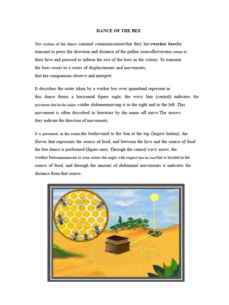 Dance of The Bee | PDF | Bees | Honey Bee