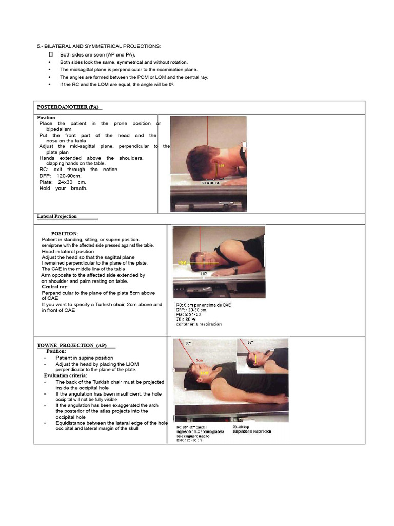 X-Ray Positioning for Sinus Views | PDF | Human Nose | Skull