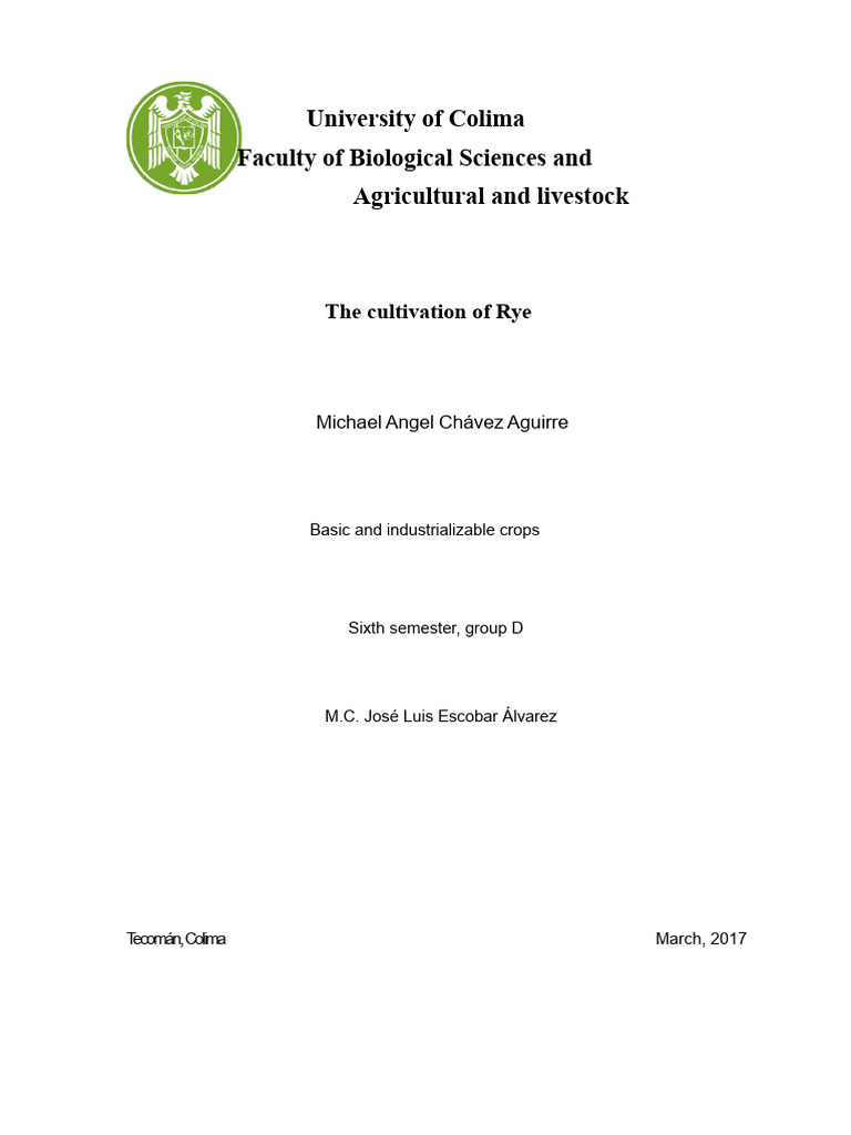 The Cultivation of Rye | PDF | Rye | Cereals