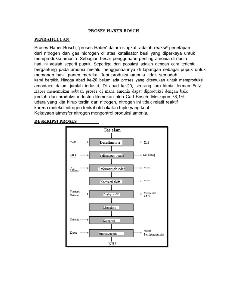 Proses Haber Bosch | PDF