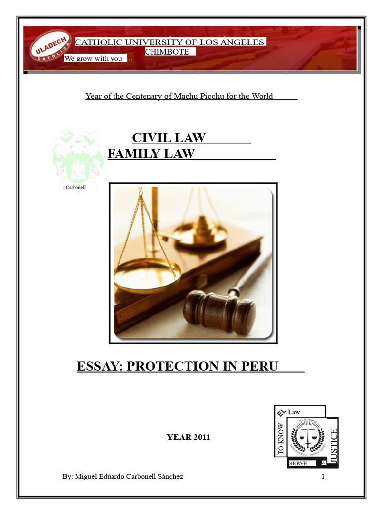 Essay On Tutelage in Peru | PDF | Legal Guardian | Parent