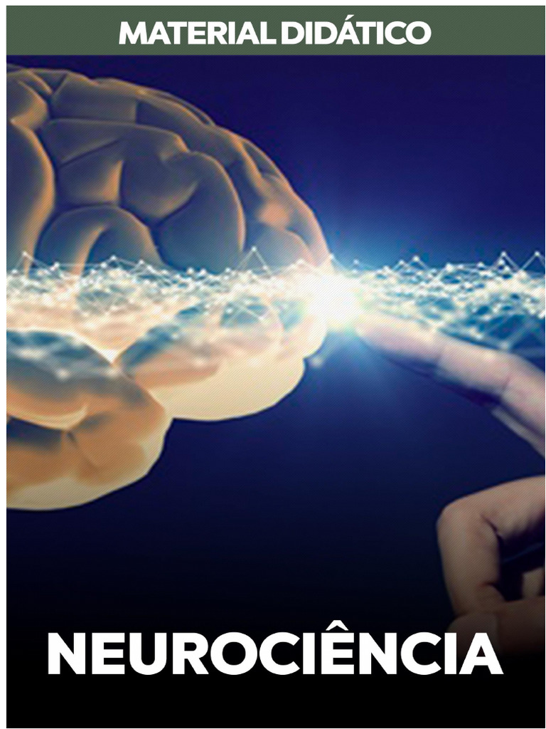 NEUROSCIENCE | PDF | Neuroscience | Neural Oscillation
