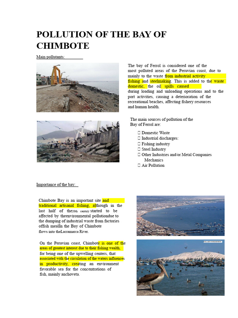 Guillen Bartolo Jonathan - Importance and Pollutants of The Bay | PDF