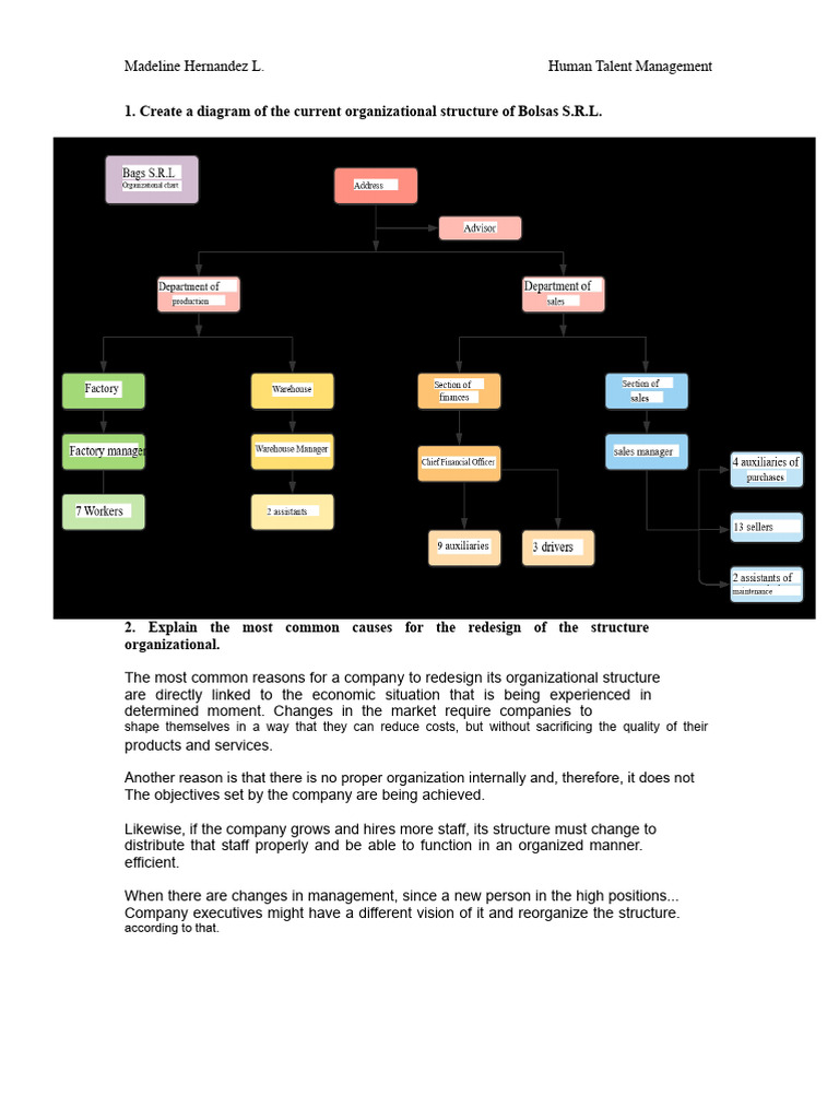 Practical Case 2 | PDF | Organizational Structure | Talent Management