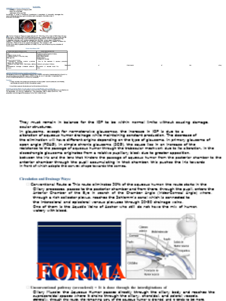 Glaucoma | PDF | Glaucoma | Cornea