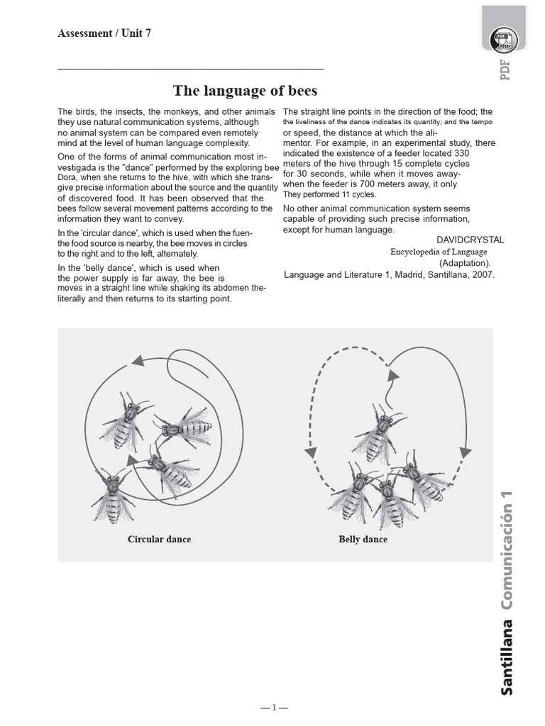 Bee Communication: Dance Language Explained | PDF | Communication ...