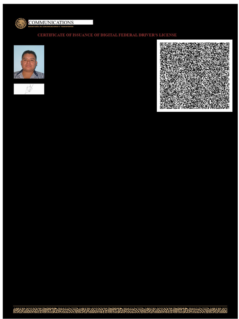 Digital Federal Driver's License Certificate | PDF | Driver's License ...