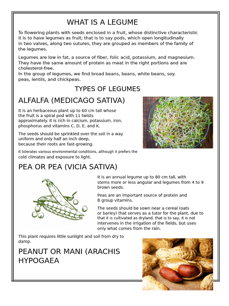 Understanding Legumes and Their Benefits | PDF | Cereals | Legume