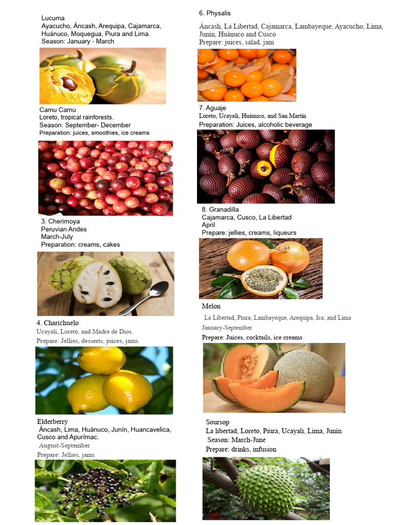 Peruvian Fruits and Vegetables Guide | PDF | Peru | Cuisine