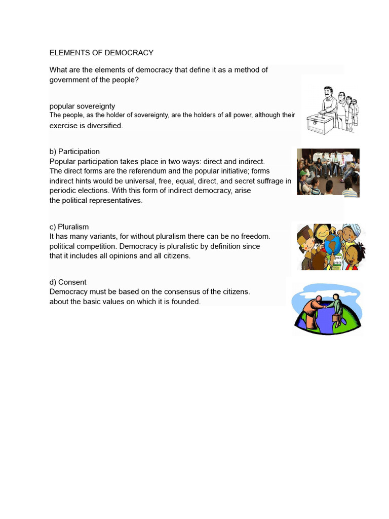 Elements of Democracy | PDF