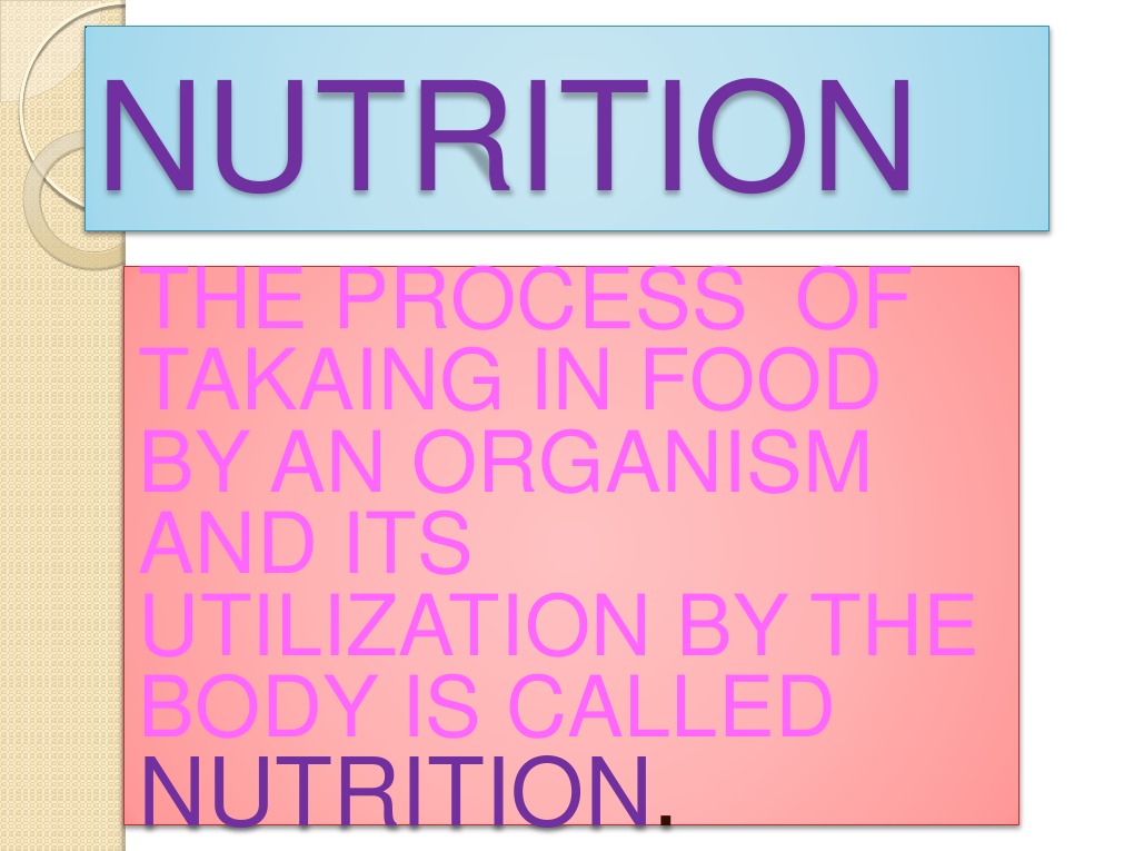 Types of Nutrition Explained | PDF