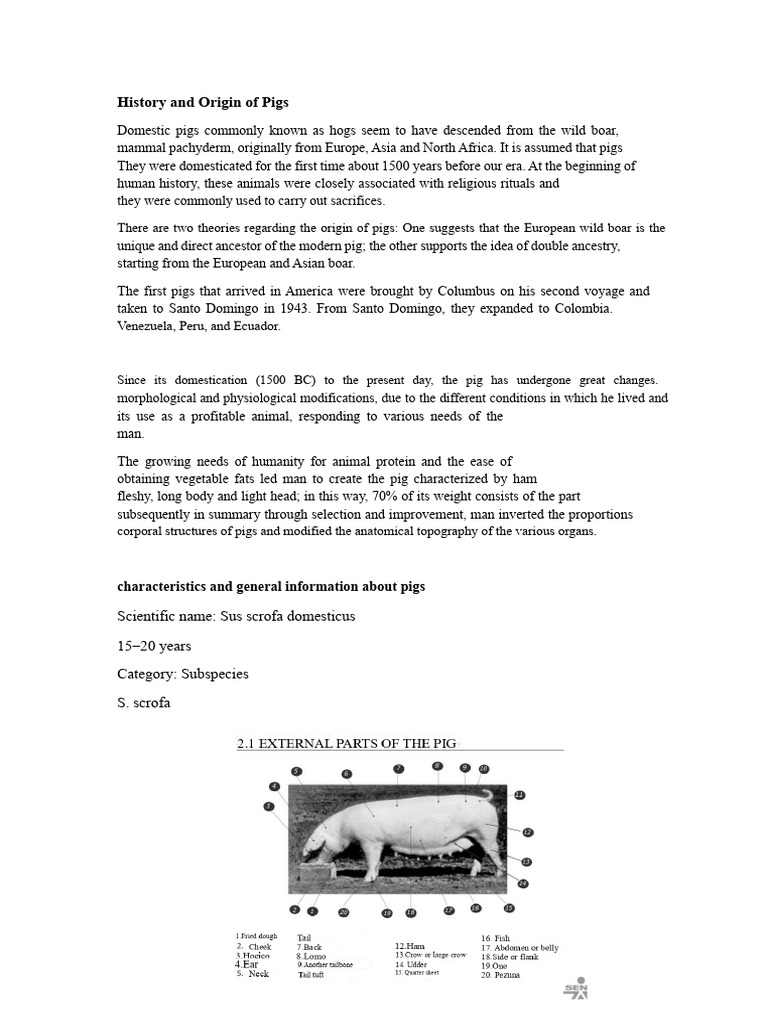 History and Origin of Swine | PDF | Pig | Humidity