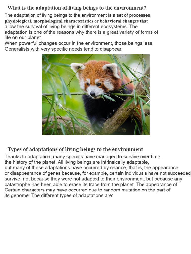 Adaptations of Animals | PDF | Adaptation | Predation