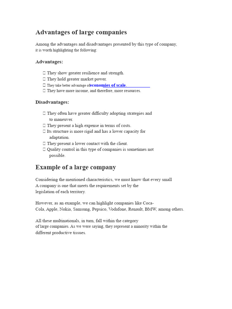 Advantages and Disadvantages of Large Companies | PDF